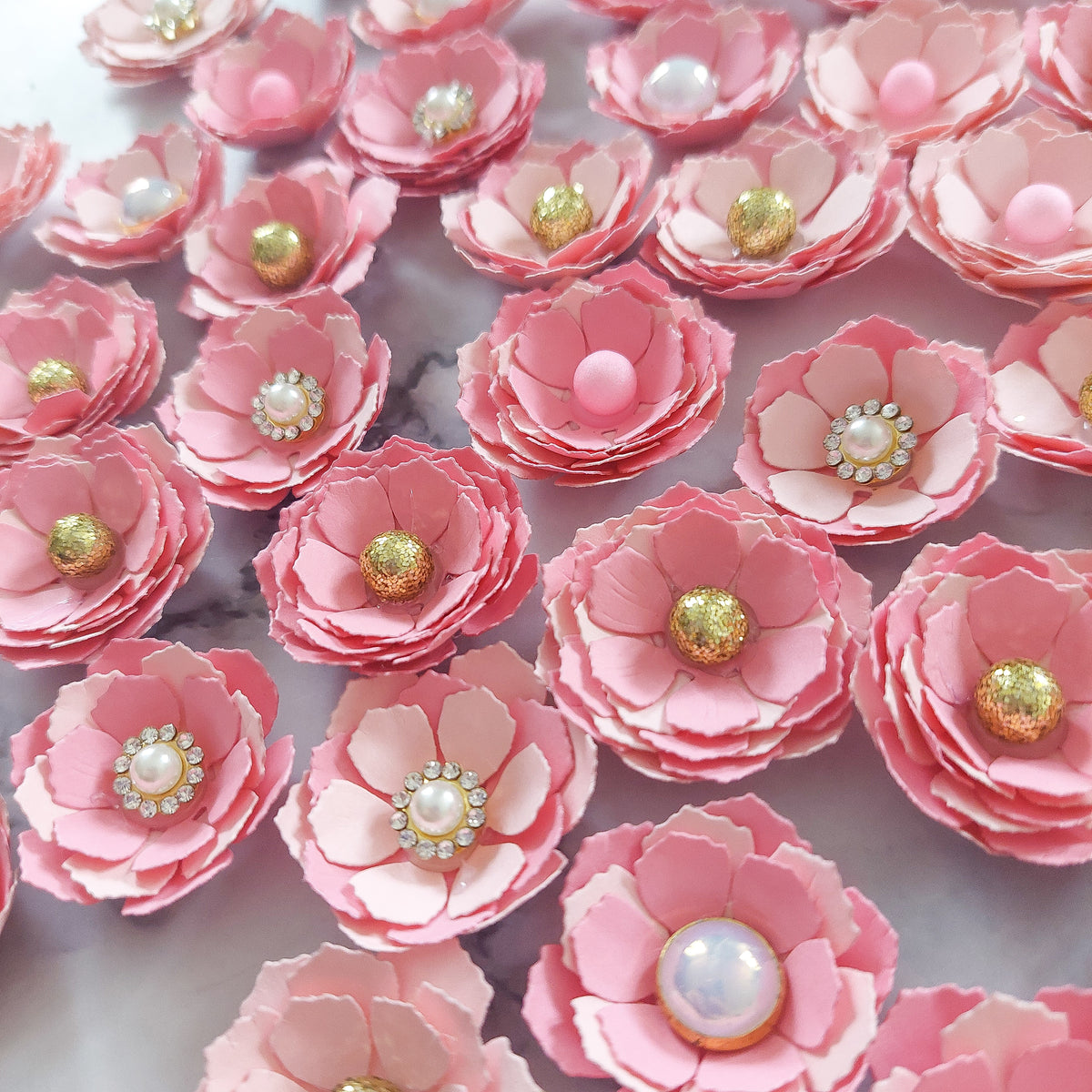 Collections Scrap Diva Designs